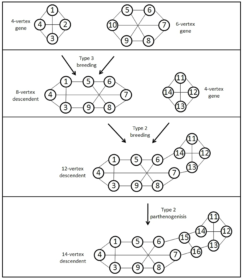 Genetic theory of cubic graphs | Flinders Hamiltonian Cycle Project