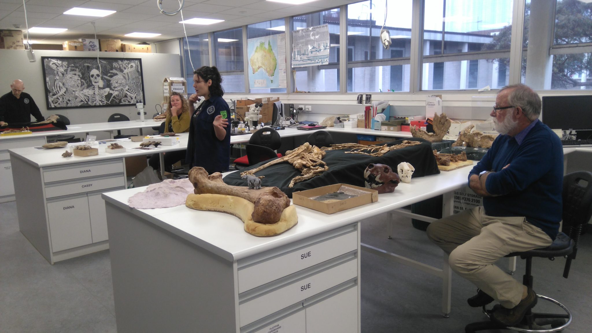 Lab - Palaeontology | Flinders University
