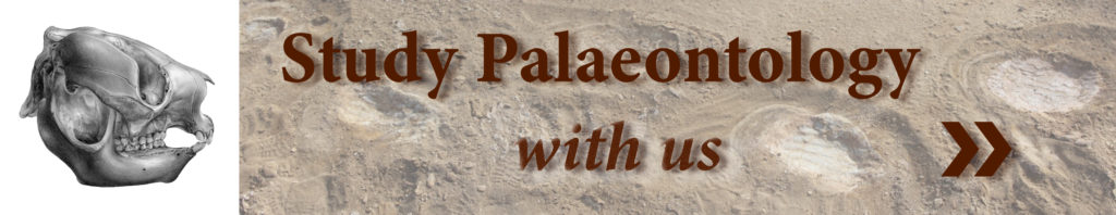 Home - Palaeontology | Flinders University