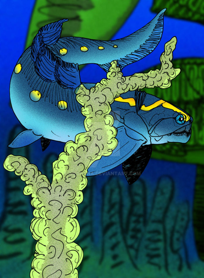 Westralichthys uwagadensis | VAMP