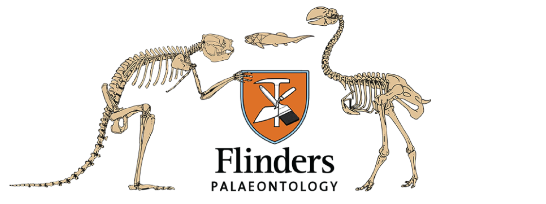 Thylacoleonidae family (marsupial lions) | VAMP