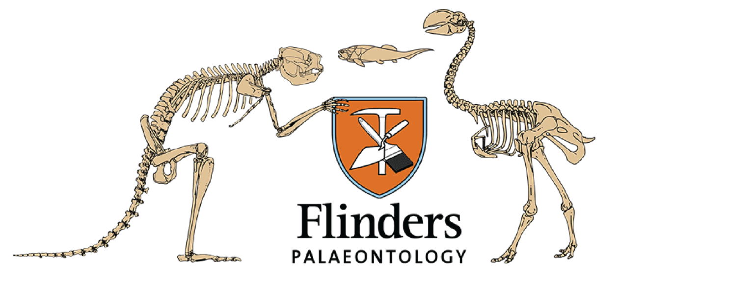 Thylacoleonidae family (marsupial lions) | VAMP