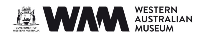 Thylacoleonidae family (marsupial lions) | VAMP