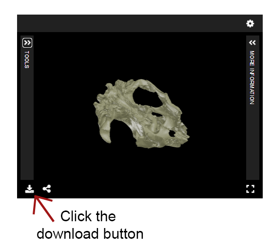 View 3D fossils | VAMP